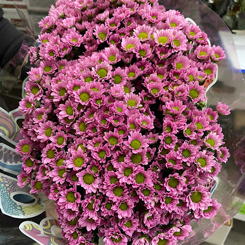 Wholesale Flowers