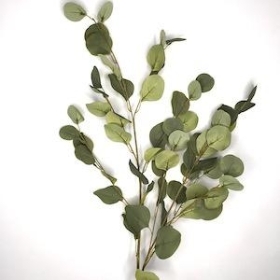 Home | Florist Wedding and Craft Supplies Ltd | Stoke On Trent ...